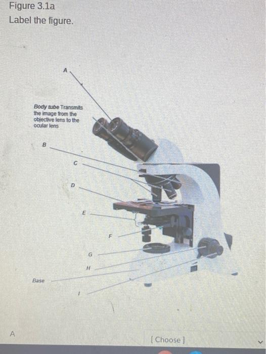 Solved Figure 3.1a Label the figure. A Body tube Transmits | Chegg.com