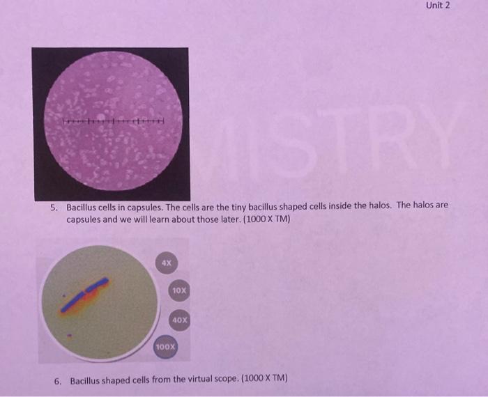 Unit 2 There are several cell size practice problems | Chegg.com