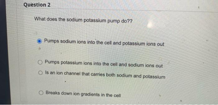Solved What does the sodium potassium pump do?? Pumps sodium | Chegg.com