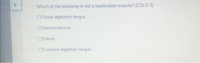Solved Which of the following is not a biarticulate muscle? | Chegg.com