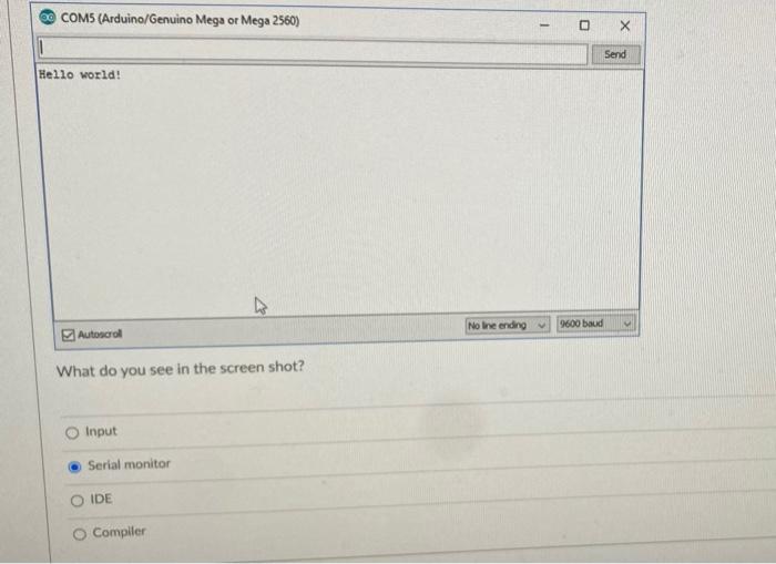 Solved Strings Must End With A Null Terminator For Serial 8721