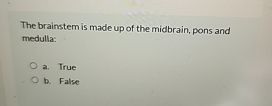 Solved The brainstem is made up of the midbrain, pons and | Chegg.com