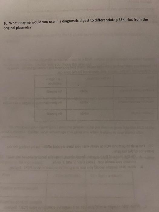 Solved please answer these questions and provide a brief | Chegg.com