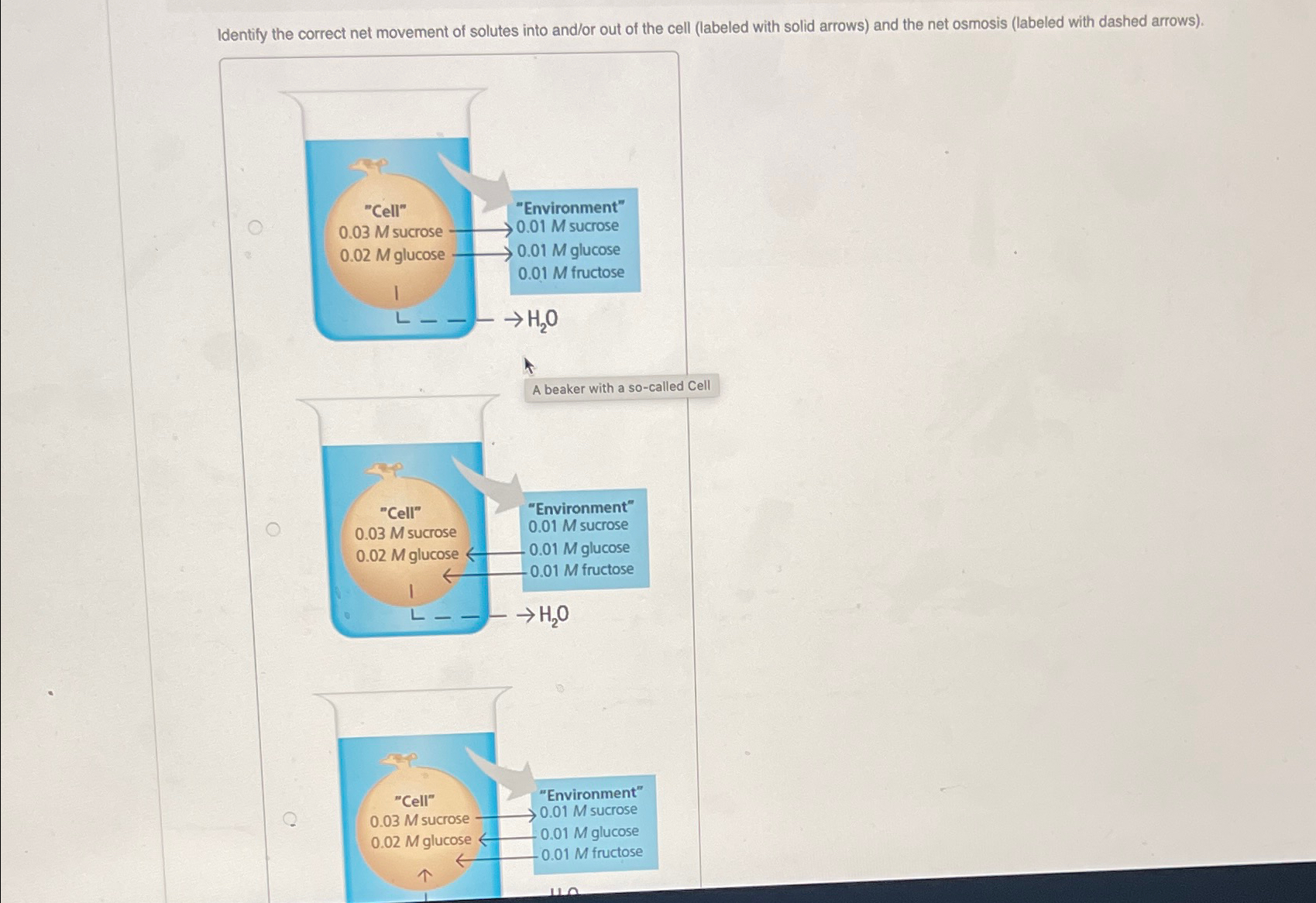 Solved Identify the correct net movement of solutes into | Chegg.com