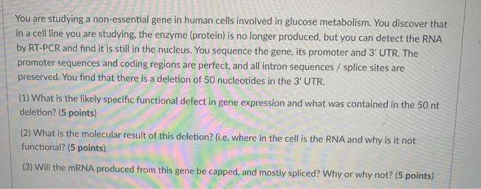 Solved You are studying a non-essential gene in human cells | Chegg.com
