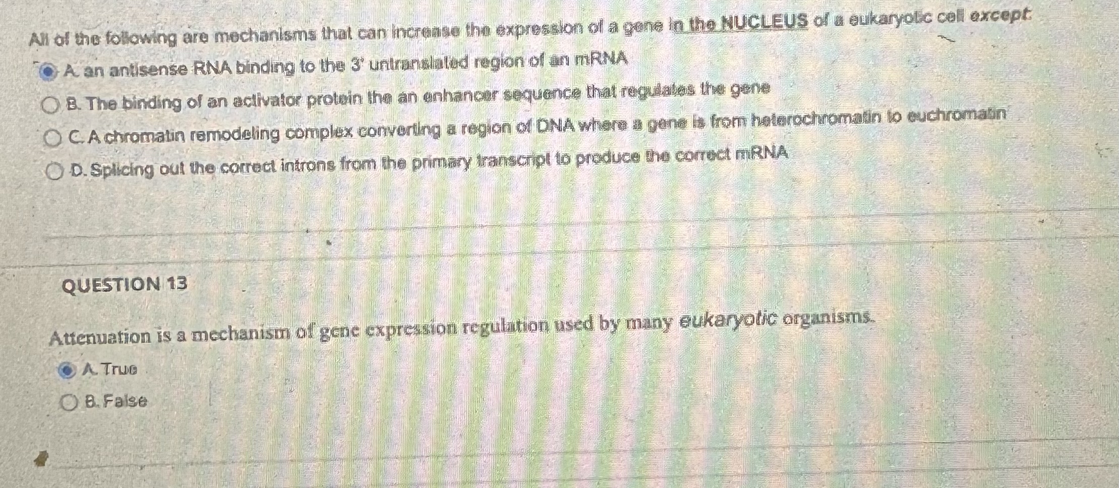 Solved A ﻿an antisense RNA binding to the 3 ﻿untrantalad | Chegg.com