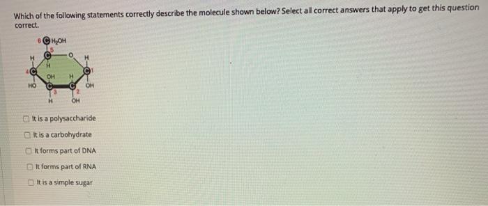 Solved Which of the following statements correctly describe | Chegg.com