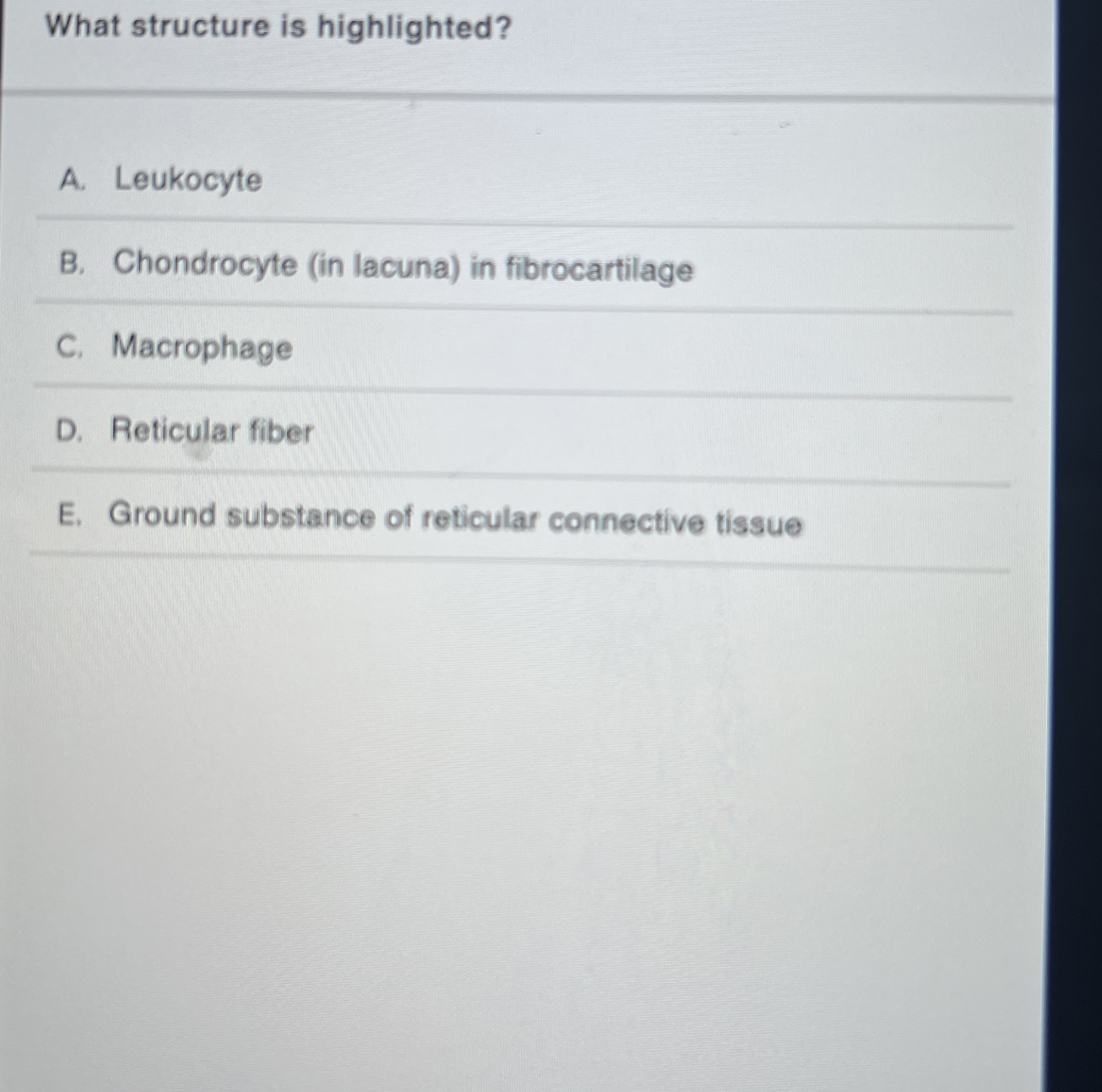 Solved What structure is highlighted?A. ﻿LeukocyteB. | Chegg.com
