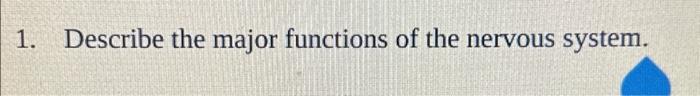 Solved 1. Describe the major functions of the nervous | Chegg.com