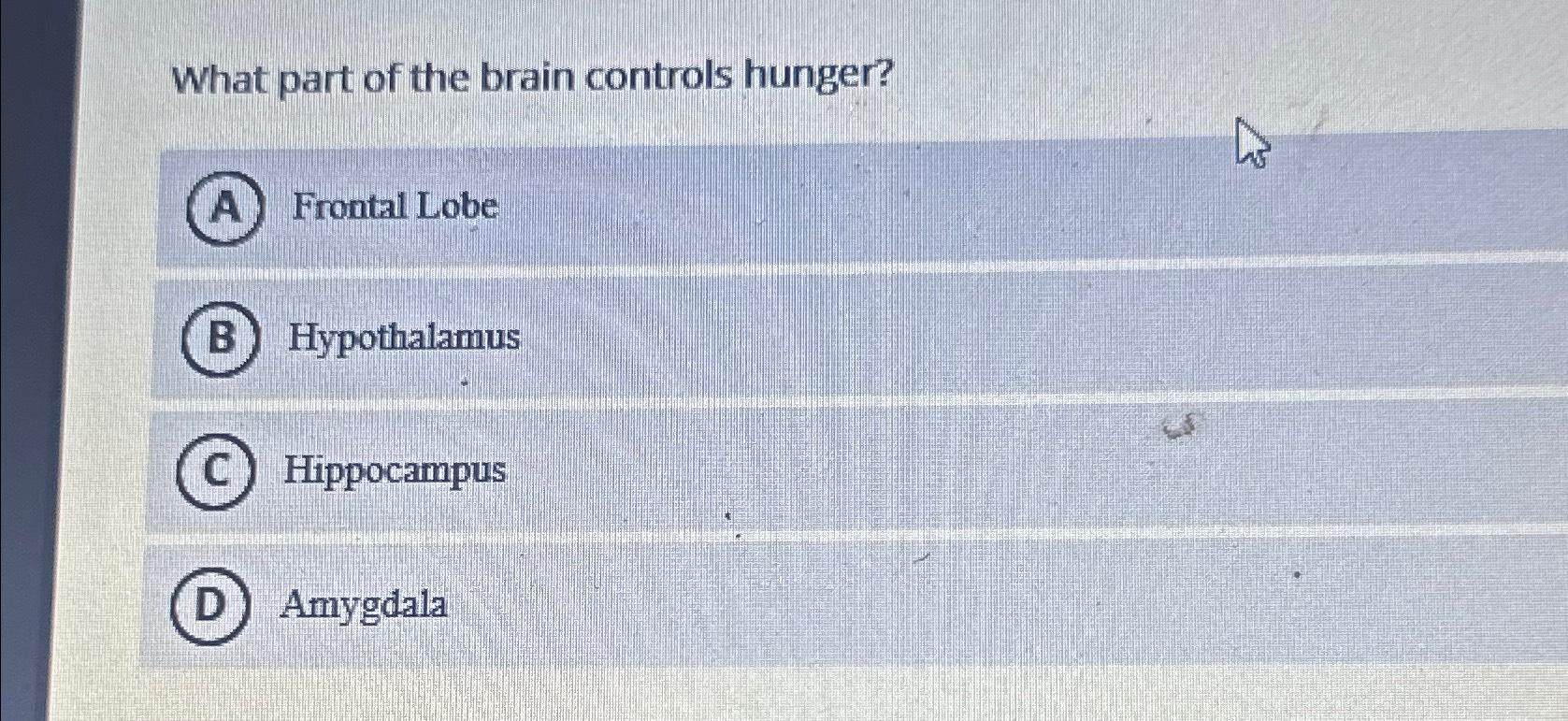 Solved What part of the brain controls hunger?Frontal | Chegg.com