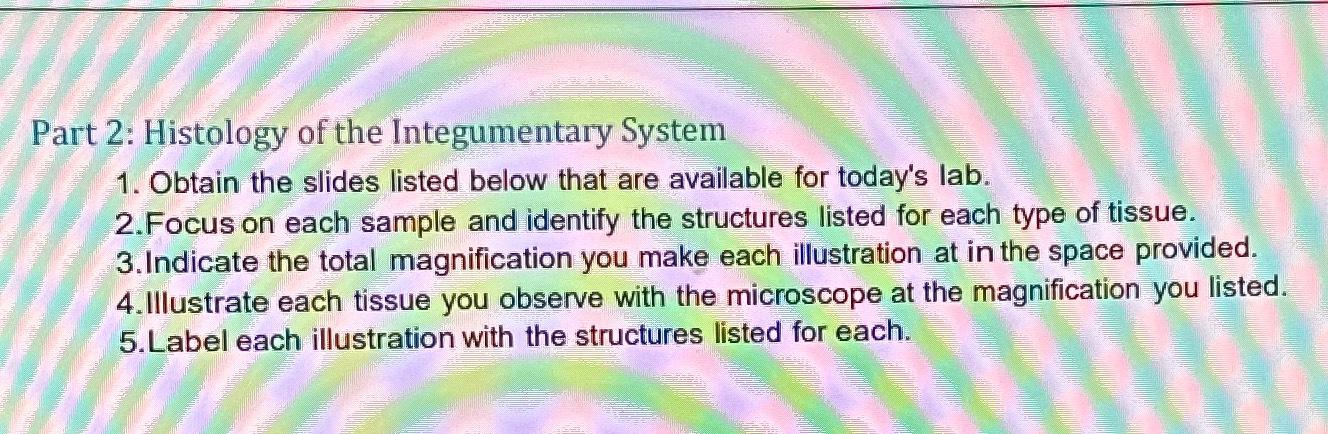 Solved Part 2: Histology of the Integumentary SystemObtain | Chegg.com