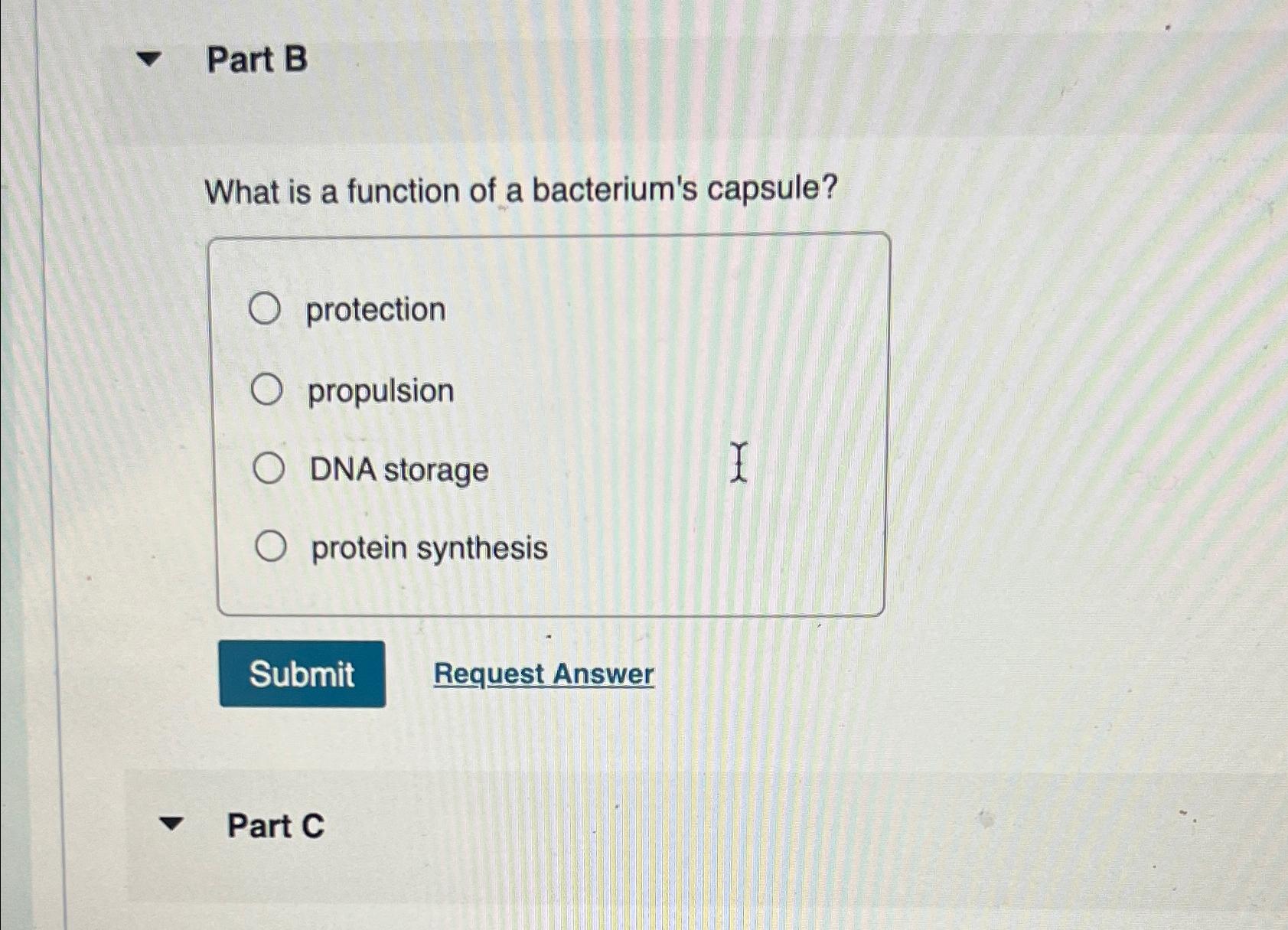Solved Part BWhat is a function of a bacterium's | Chegg.com