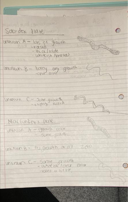 Sab-dex plate mo unknown A - lots or growth - rased - | Chegg.com