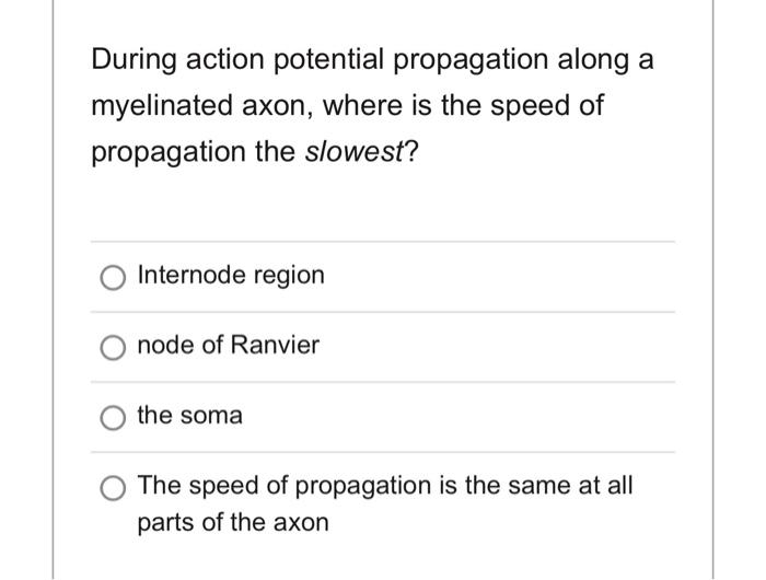 During action potential propagation along a | Chegg.com