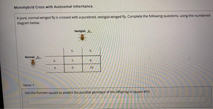 Solved Monohybrid Cross with Autosomal Inheritance. A pure, | Chegg.com