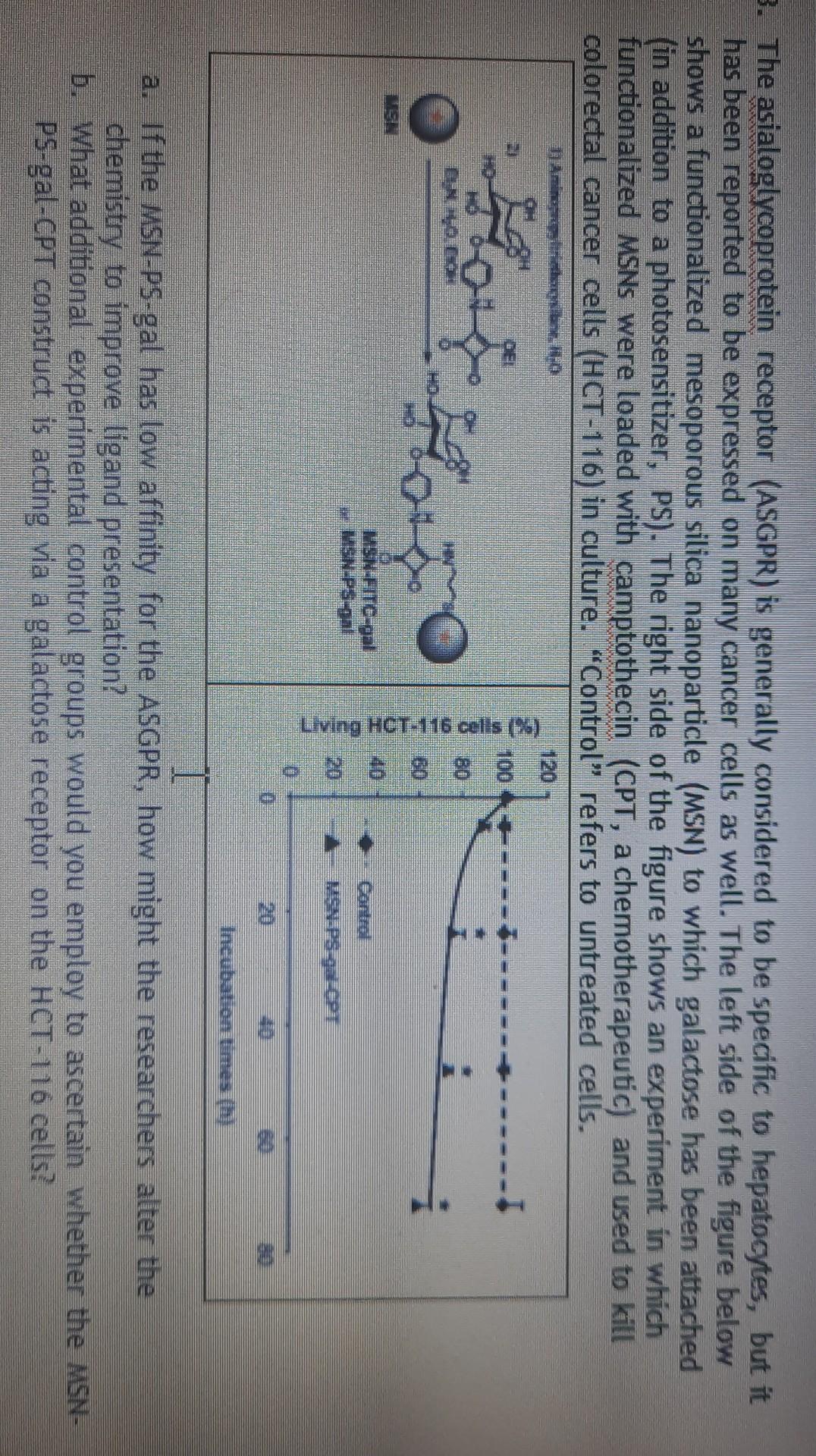 Solved 3. The asialoglycoprotein receptor (ASGPR) is | Chegg.com