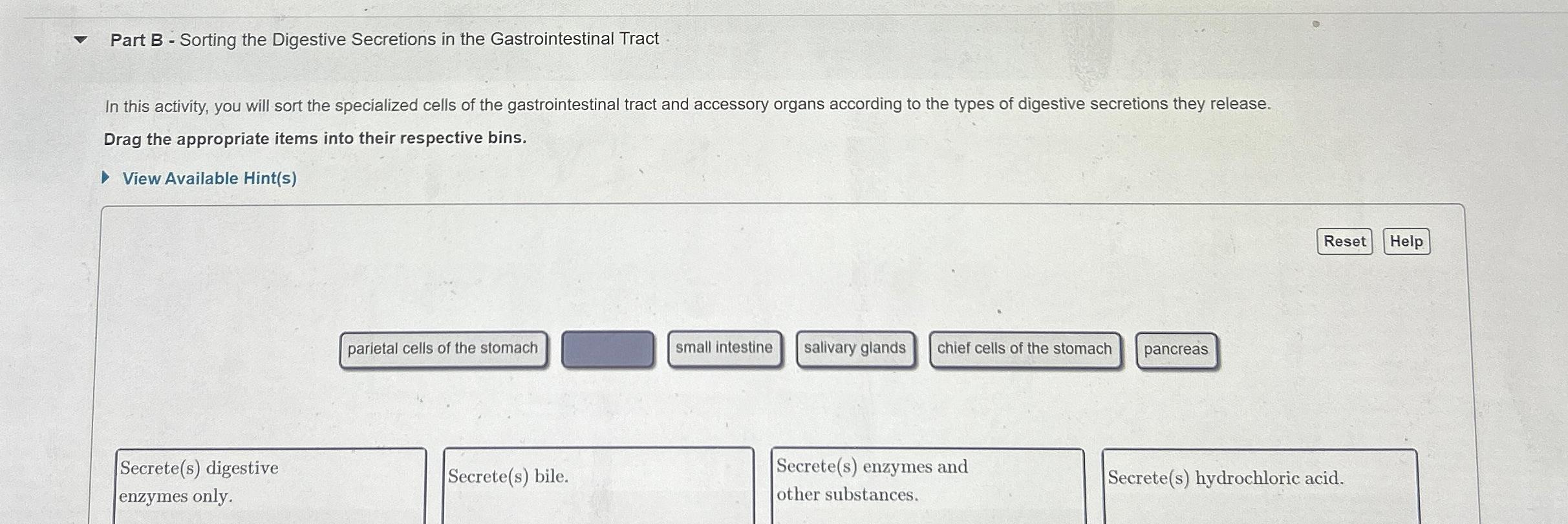Solved Part B - ﻿Sorting the Digestive Secretions in the | Chegg.com