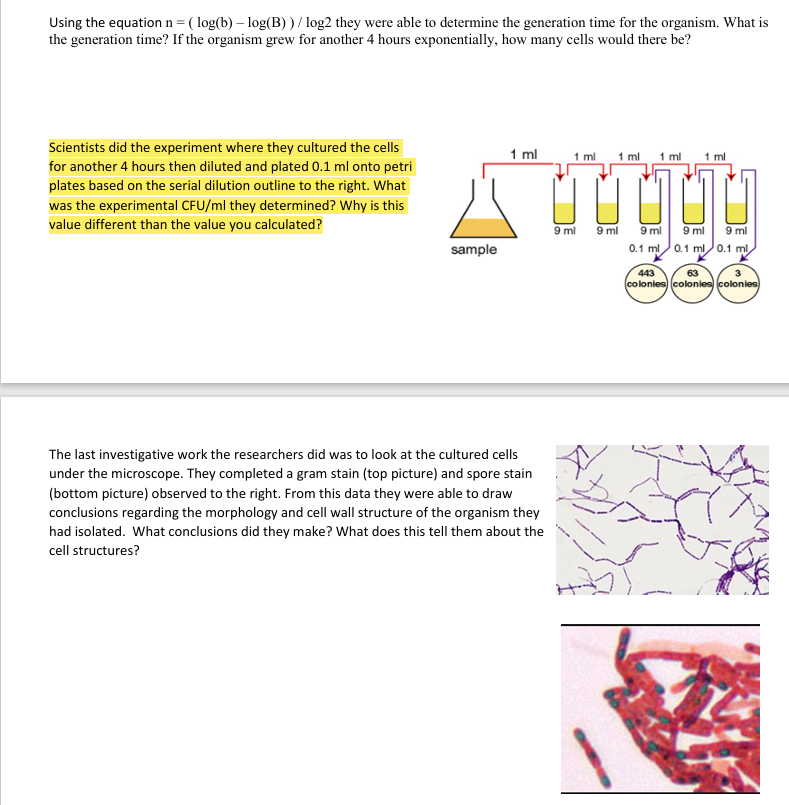 Solved Using the equation n=log(b)-log(B)log2 ﻿they were | Chegg.com