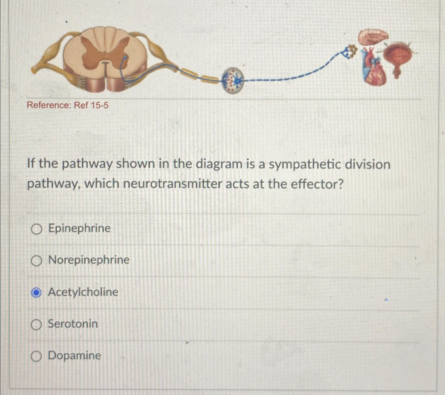 Solved Reference: Ref 15-5If the pathway shown in the | Chegg.com