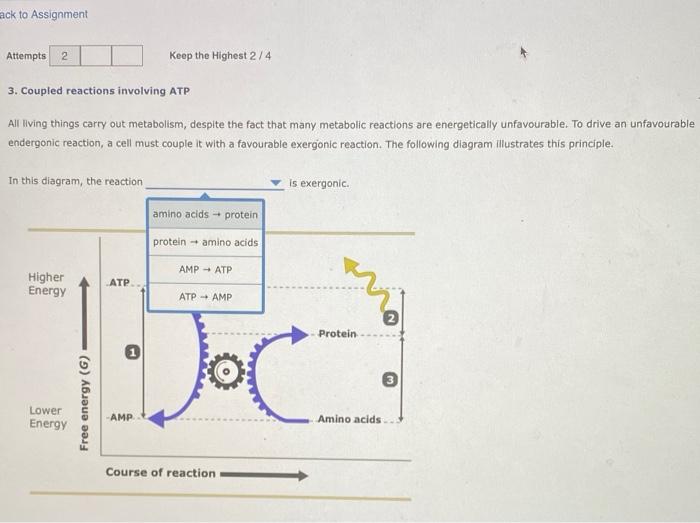 Solved ack to Assignment Attempts 2 Keep the Highest 2/4 3. | Chegg.com