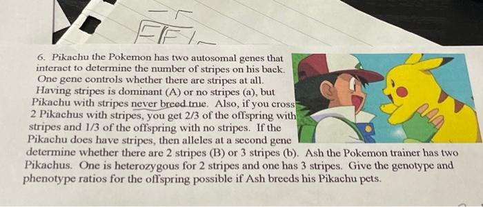 Solved 6. Pikachu the Pokemon has two autosomal genes that | Chegg.com