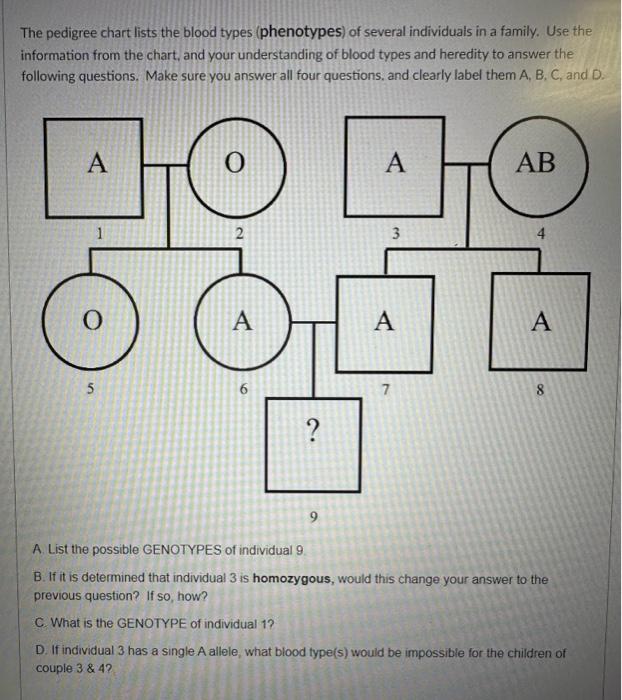 Solved The pedigree chart lists the blood types (phenotypes) | Chegg.com