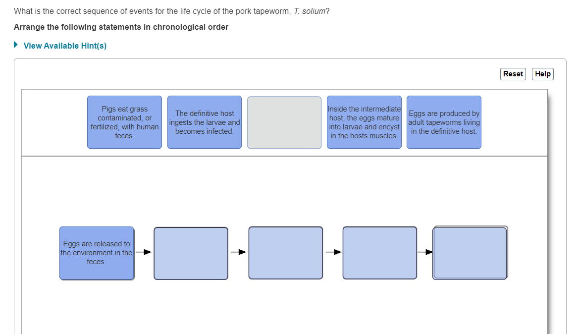 Solved What is the correct sequence of events for the life | Chegg.com