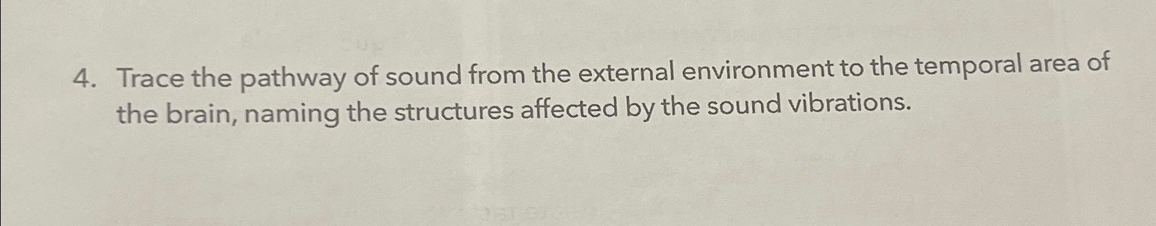 Solved Trace the pathway of sound from the external | Chegg.com