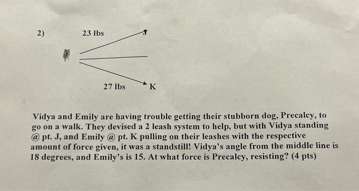 Solved Vidya and Emily are having trouble getting their | Chegg.com
