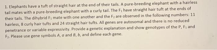Solved 1. Elephants have a tuft of straight hair at the end | Chegg.com