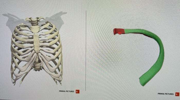 Solved 2 PUMAL PICTURES MENU | Chegg.com