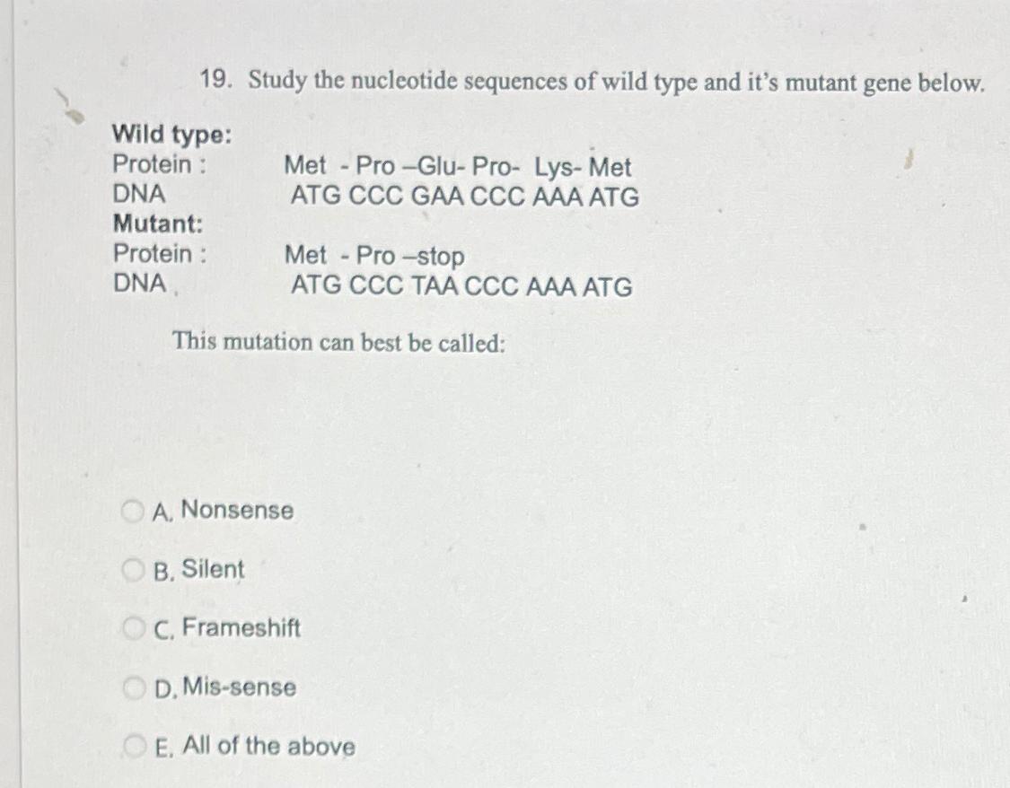 Solved Study the nucleotide sequences of wild type and it's | Chegg.com