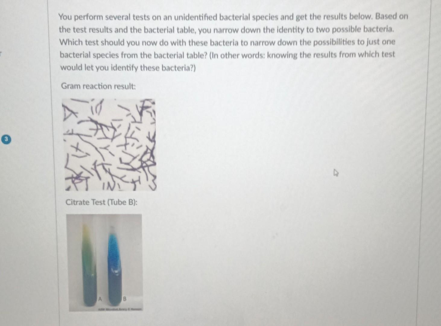 Solved You perform several tests on an unidentified | Chegg.com