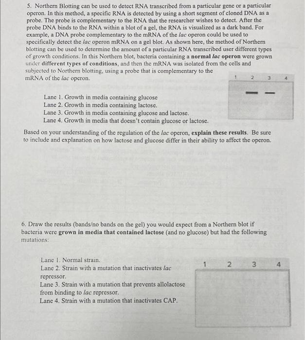 Solved S. Northern Blotting can be used to detect RNA | Chegg.com
