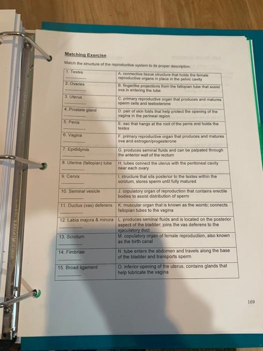 Solved Matching Exercise Match the structure of the | Chegg.com
