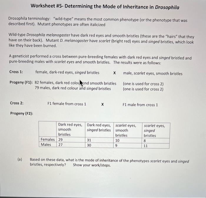 Solved Worksheet \#5- Determining the Mode of Inheritance in | Chegg.com Solved Worksheet \#5- Determining the Mode of Inheritance in | Chegg.com