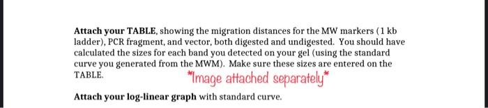 please help i dont undertand how to do the log linear | Chegg.com