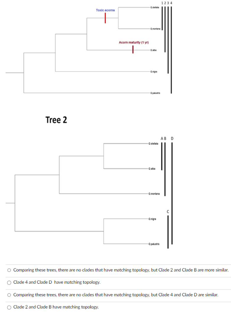 Solved Consider Tree 1 ﻿and Tree 2 ﻿in the figure below. | Chegg.com