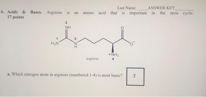 Solved Last Name: ANSWER KEY Acids \& Bases. Arginine is an | Chegg.com