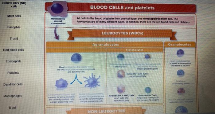Solved label the info graphic to test your understanding of | Chegg.com