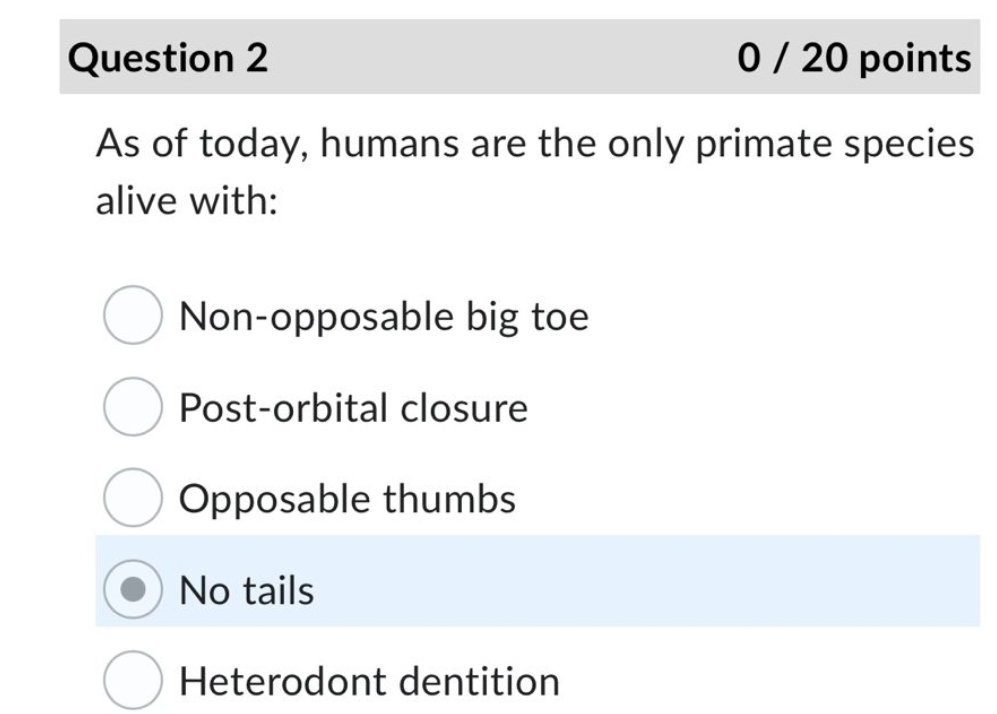 Solved Question 2020 ﻿pointsAs of today, humans are the only | Chegg.com