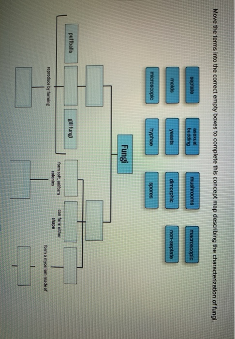 Solved Move each characteristic into the correct category to | Chegg.com