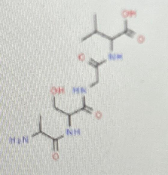 Solved Circle the chiral center for this molecule. | Chegg.com