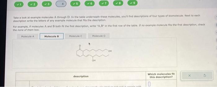 Solved Take a look at example molecules A through D, In the | Chegg.com