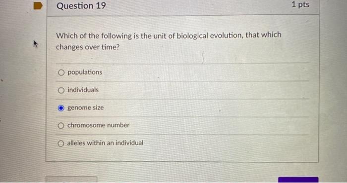 Solved Question 19 1 pts Which of the following is the unit | Chegg.com