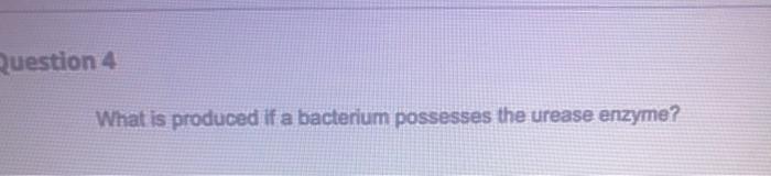 Solved Question 4 What is produced if a bacterium possesses | Chegg.com
