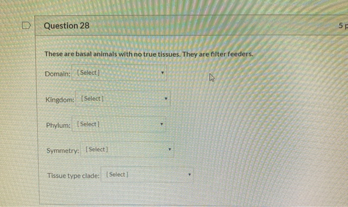Solved D Question 28 5 p These are basal animals with no | Chegg.com