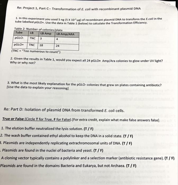Solved Re: Project 1, Part C-- Transformation of E. coli | Chegg.com