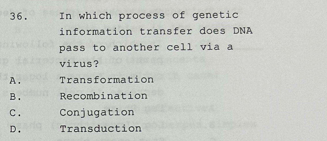 Solved In which process of genetic information transfer does | Chegg.com