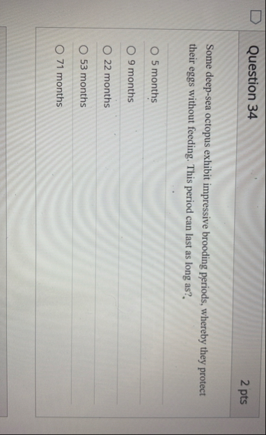 Solved Question 342 ﻿ptsSome deep-sea octopus exhibit | Chegg.com